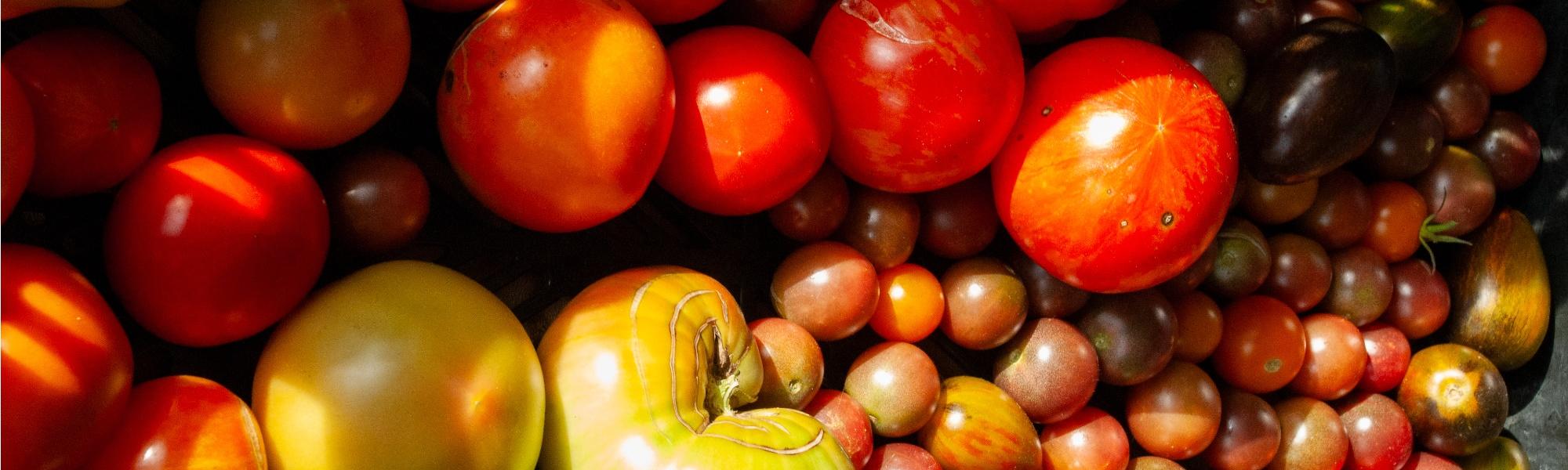 Farm Stand - Sustainable Agriculture Project - Grand Valley State University